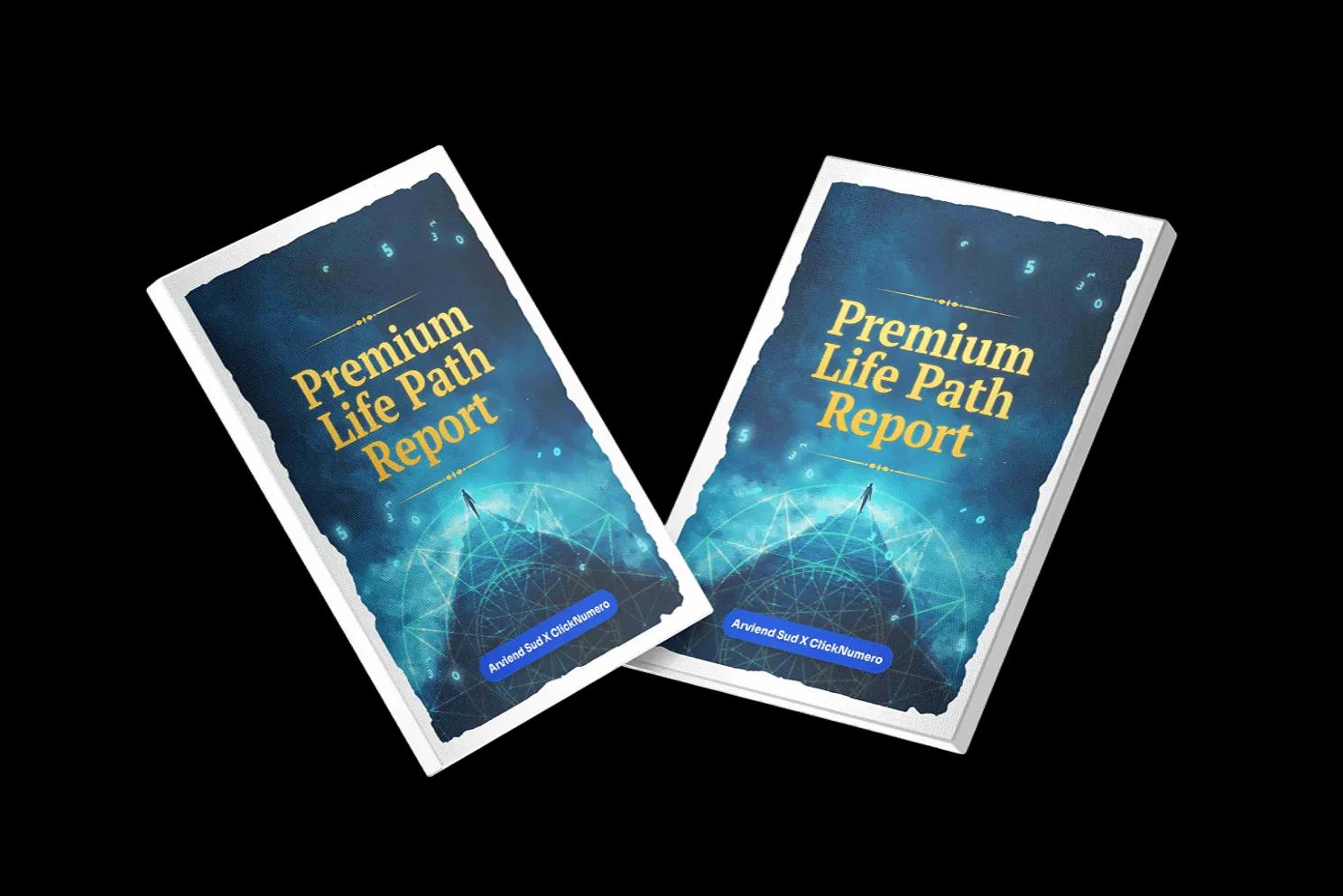 Premium Life Path Report